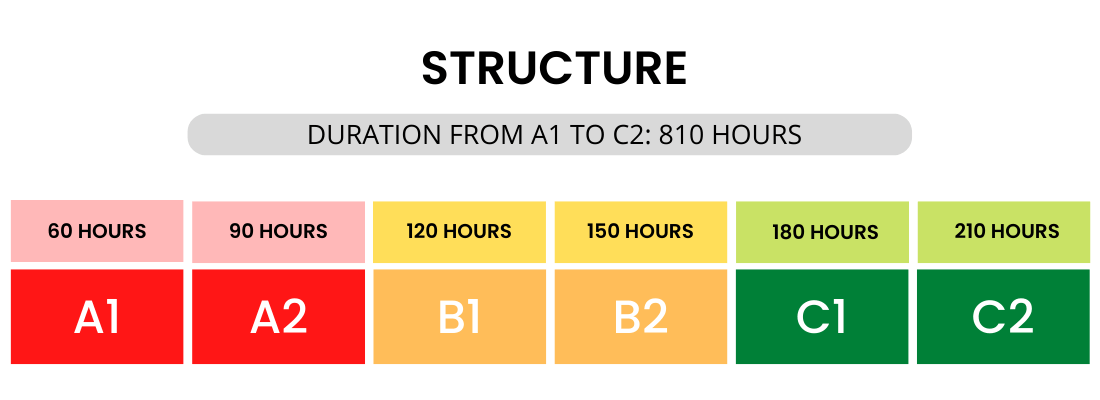 Goals by level in our Spanish courses - Instituto Hispánico de Murcia